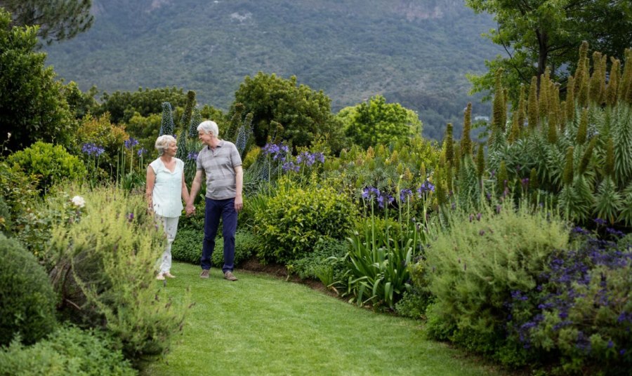 Exploring Napa Valley's Hidden Gems: Unique and Off-the-Beaten-Path ...